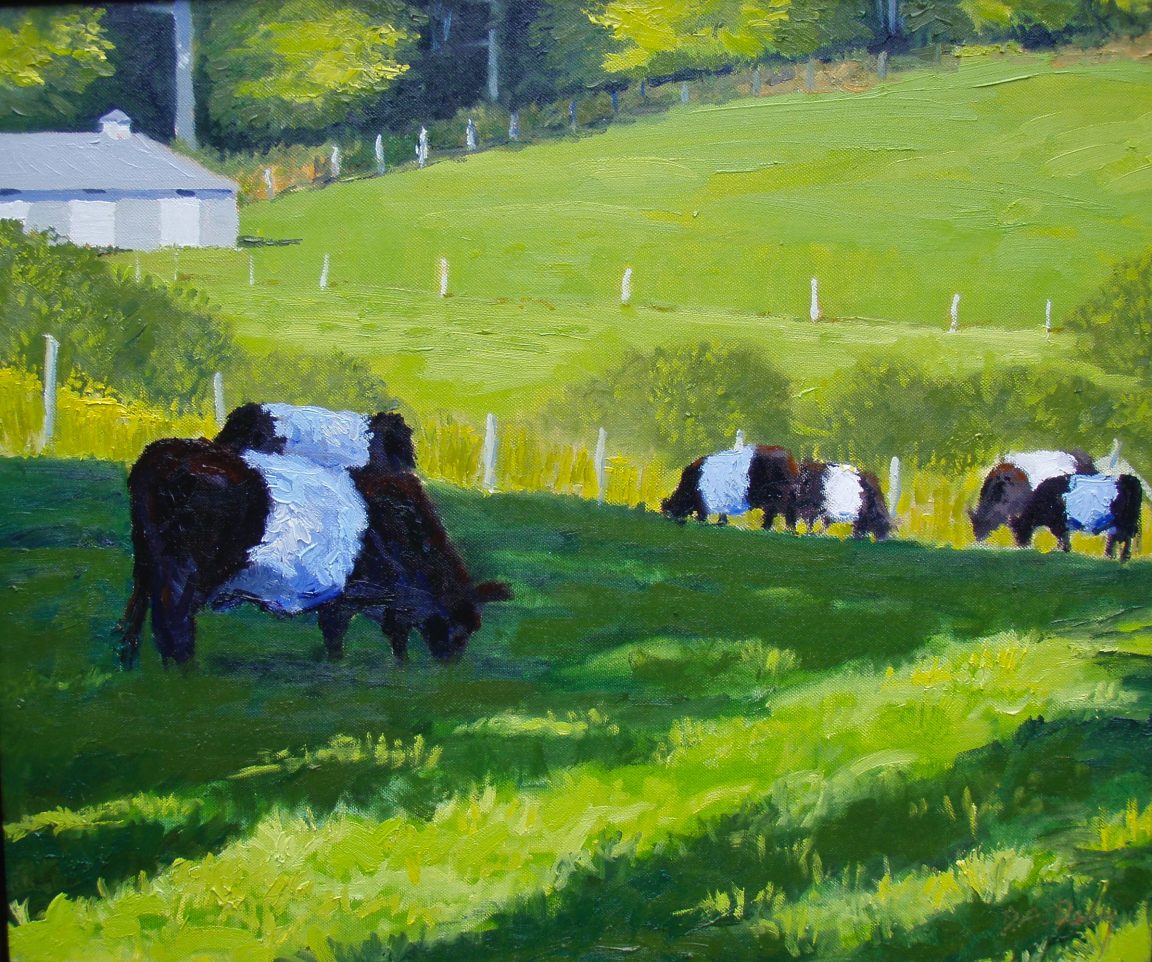 Belted Galloways – Dan Daly Art Portfolio